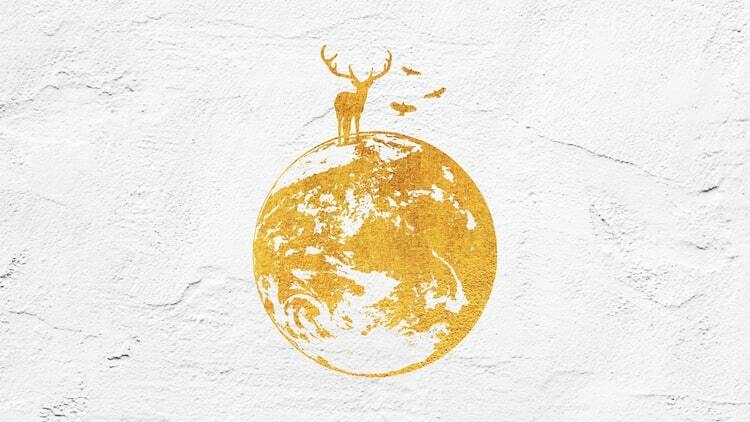 tacica、20周年に向けた新ツアーは「parallel park」「Human Orchestra」再現ライブ の画像・写真 - ぴあ音楽