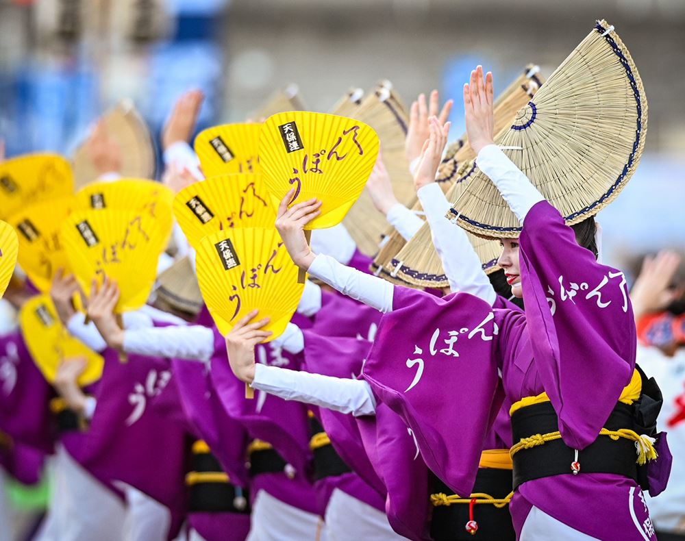 徳島の夏の風物詩「阿波おどり」が今年も開催。出演連と各演舞場のスケジュールが決定! の画像・写真 ぴあエンタメ情報
