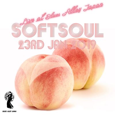 SOFT SOUL -LIVE Vol.17- - ぴあ音楽
